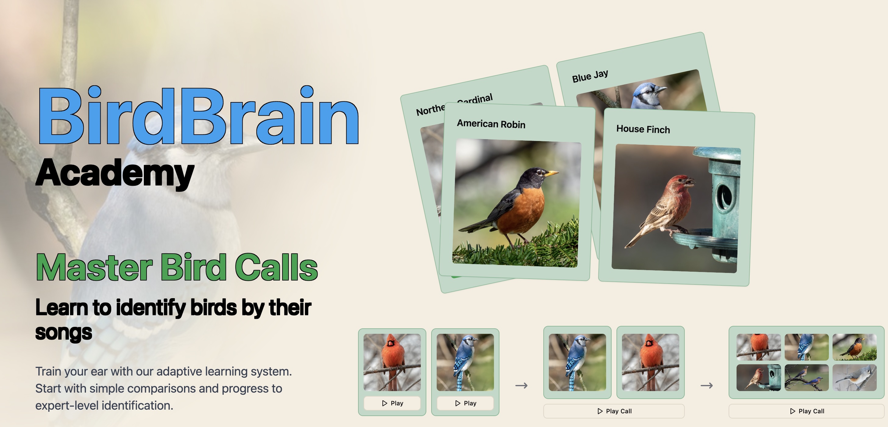 BirdBrain Academy — Learn to Identify Birds by Sound